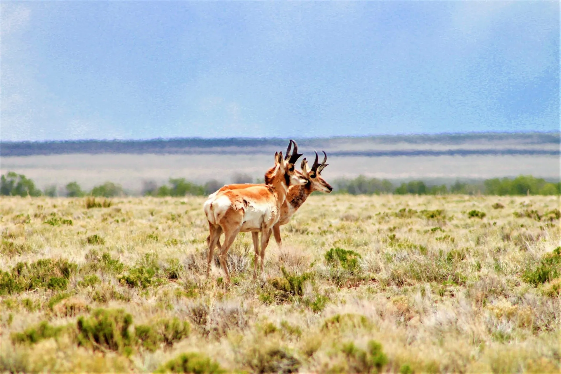 RV Land for Sale with Utilities & Owner Financing | Elegment Land