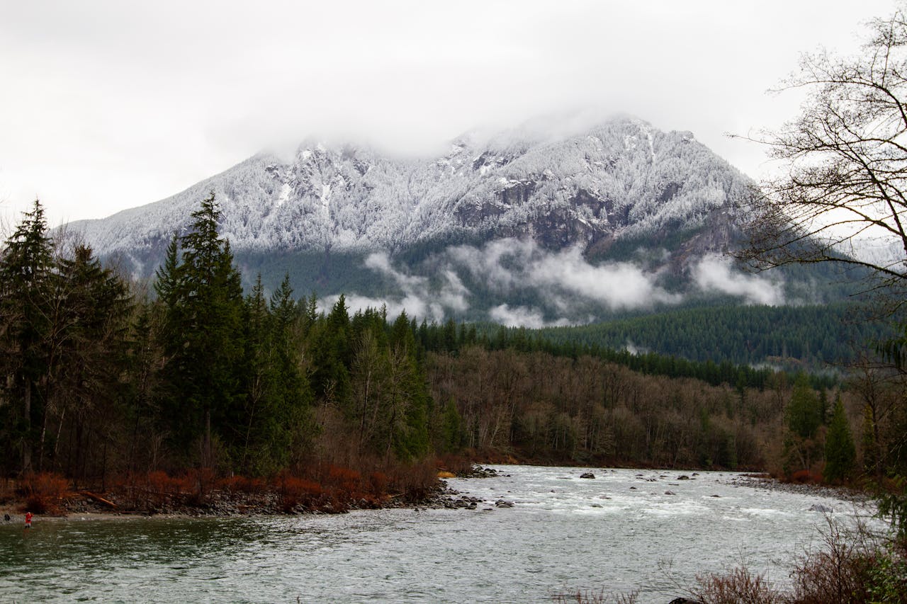 Uncover Washington State Land for Sale: Rural Paradise Awaits